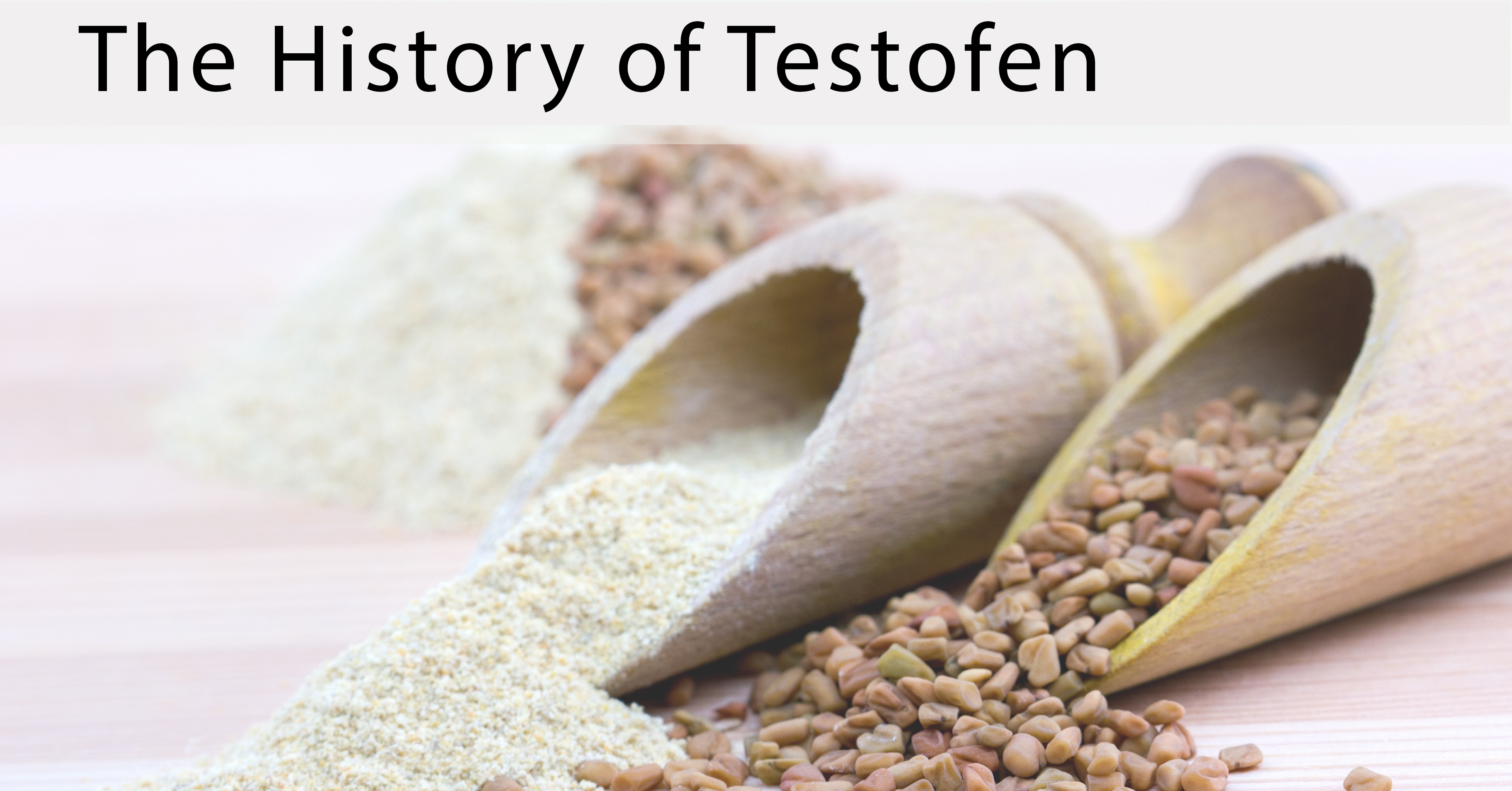 The History of Testofen